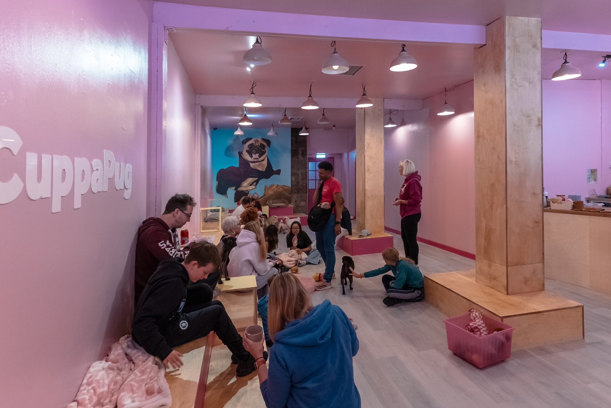 EDINBURGH FRINGE FEATURE – CuppaPug – Little Lark of London