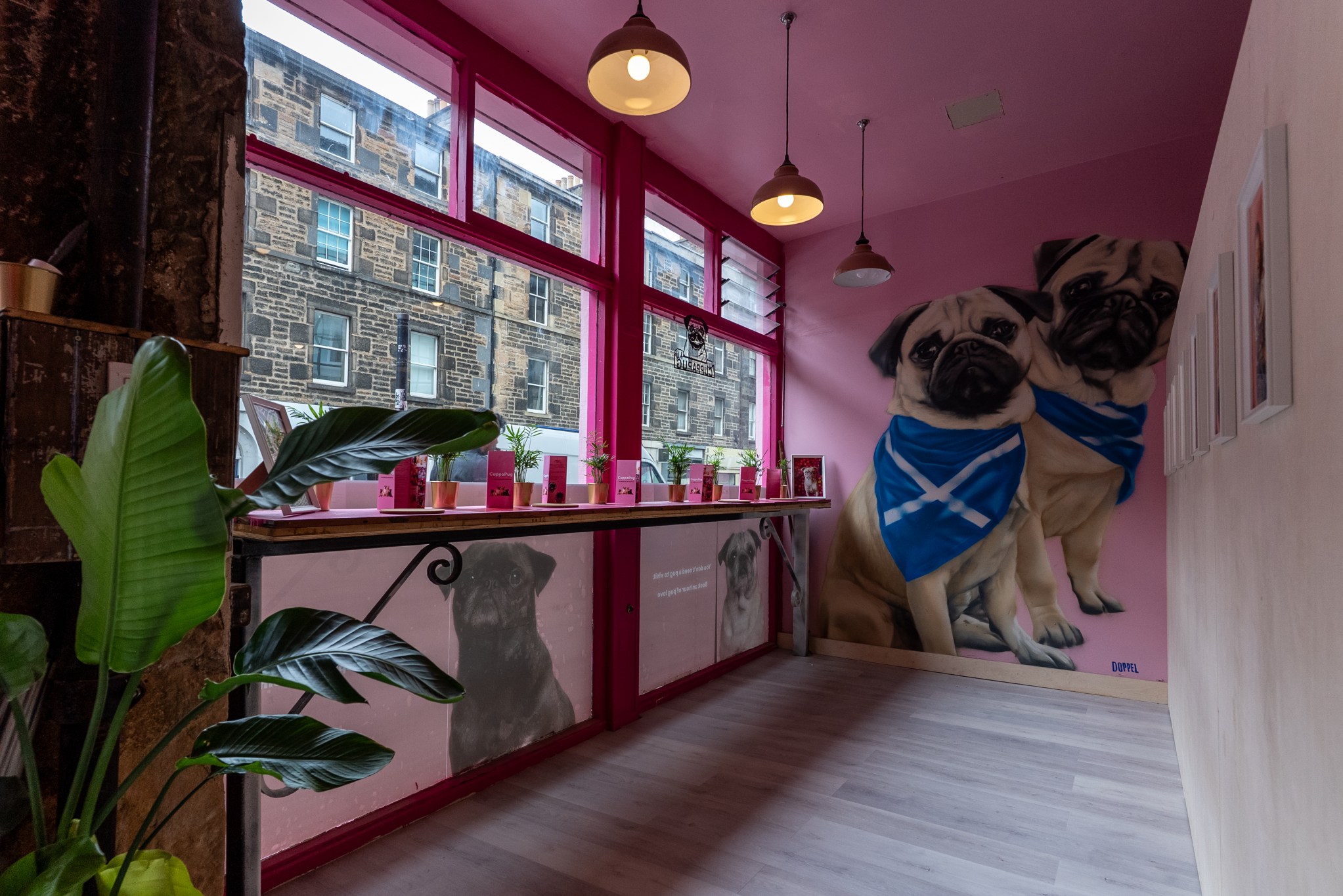 EDINBURGH FRINGE FEATURE – CuppaPug – Little Lark of London